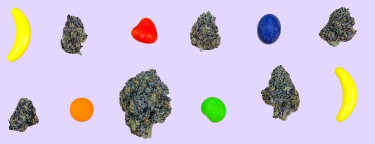 Discovering the Remarkable Effects and Flavors of Runtz Cannabis Strain ...