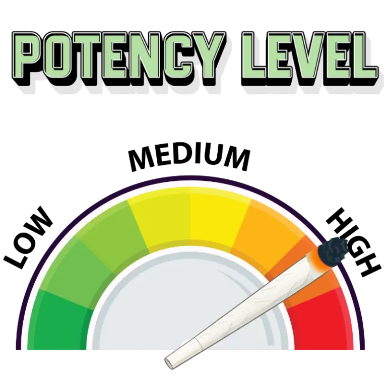 Glitter Bomb Seeds – Fast Finishing Photoperiods